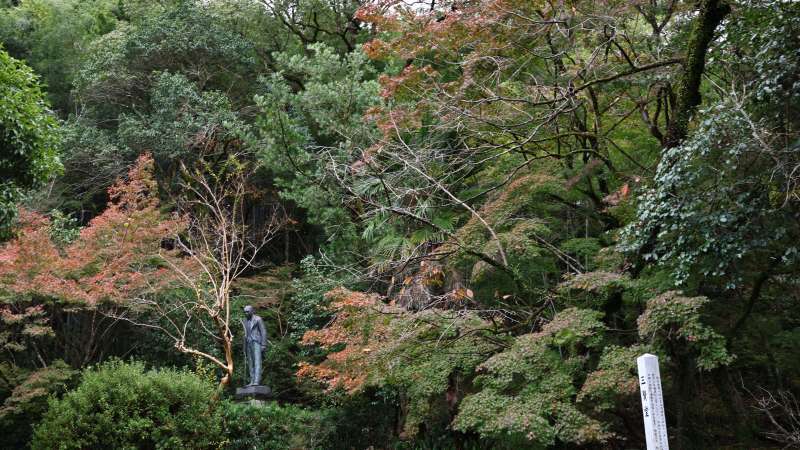 熊本市 島崎地区・三賢堂の紅葉（2024年）: 熊本の花所